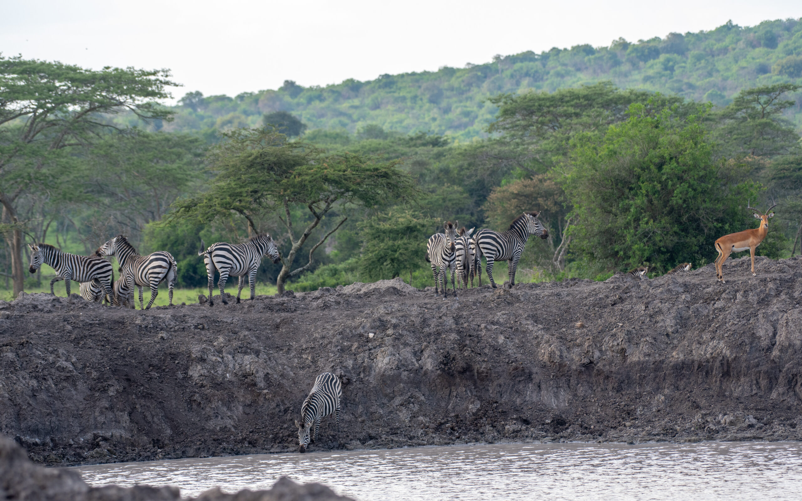Lake Mburo National Park: Facts, Location, Map & Activities